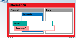 Introducing the Information Governance Implementation Model (IGIM ...